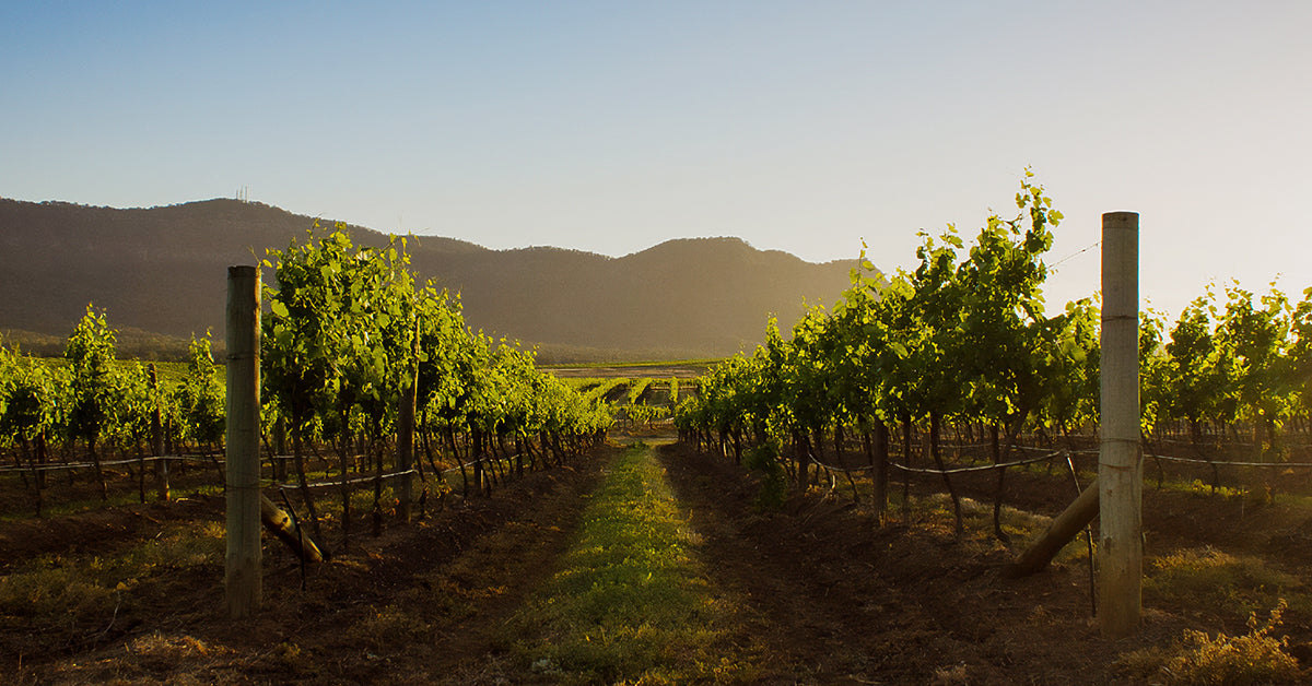 Hunter's Dream - Dare to Dream Big