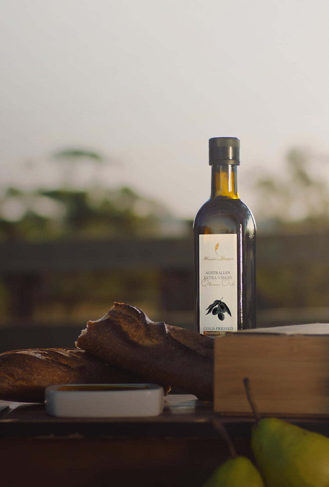 Hunter's Dream - Dare to Dream Big